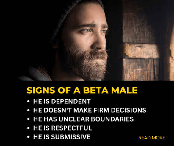 19 Signs of a Beta Male: Meaning and Characteristics