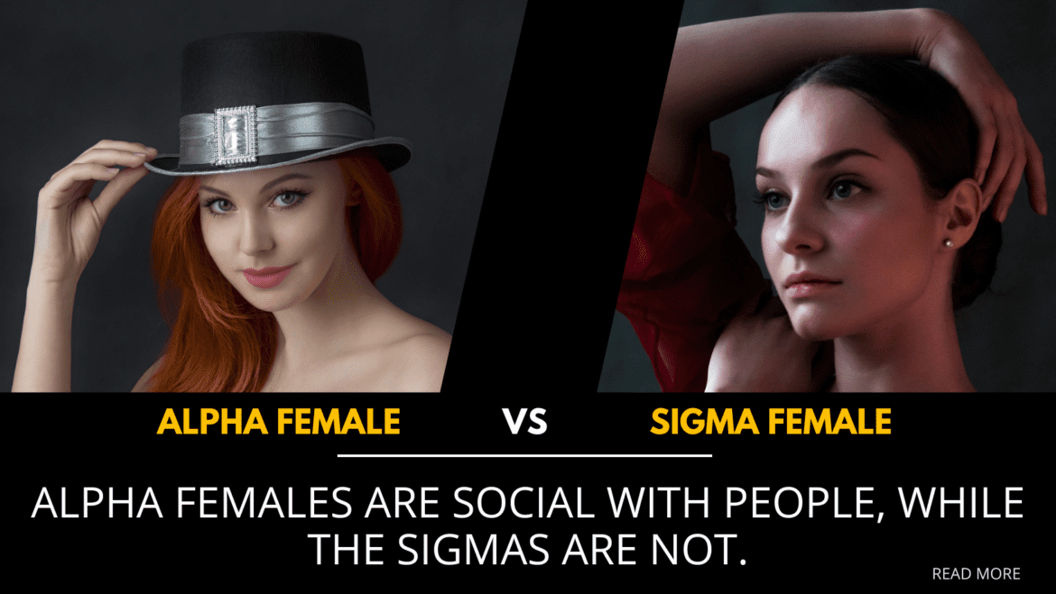 Alpha Female vs Sigma Female: 10 Different Personality Traits